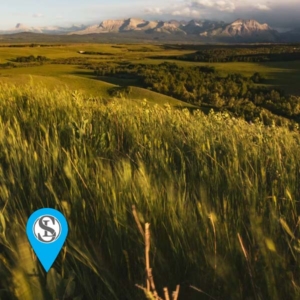 Real estate Sherwood Park is brought to you by Steve Leddy! Search now!